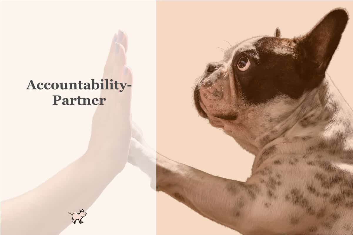 Accountability-Partner: Wer gehört zu dir? - thelanguagepig